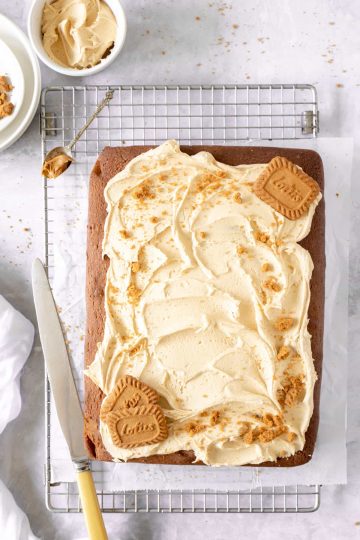 Biscoff Tray Bake Cake - Crumbs and Corkscrews